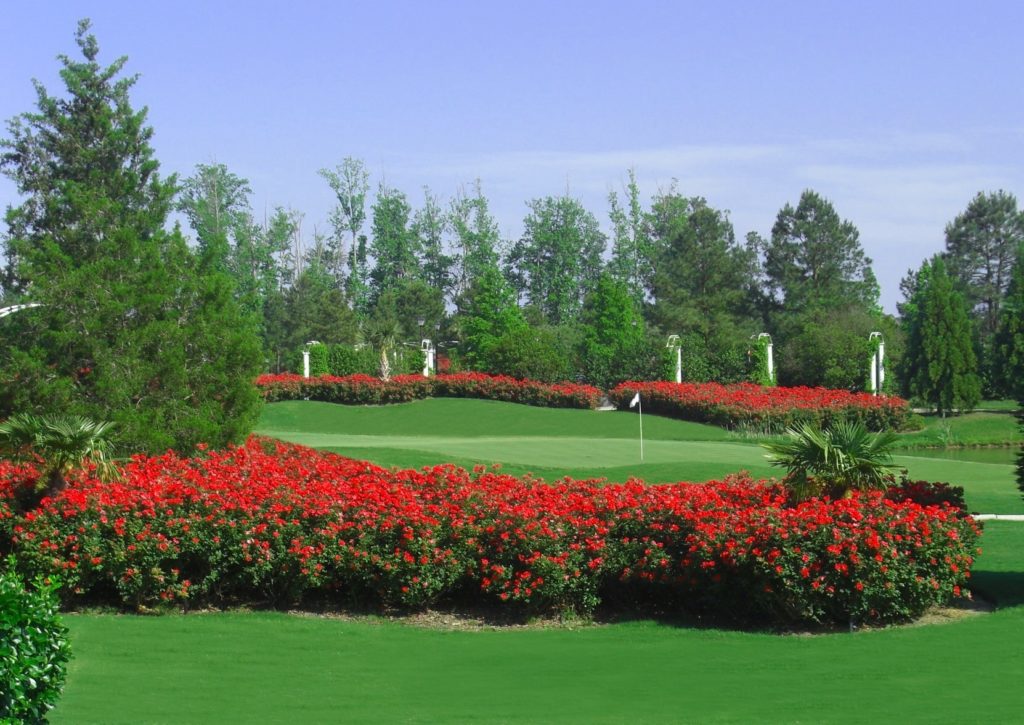 Virginia Beach Golf Courses - Virginia Beach Golf Packages